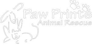 Home - Paw Prints Animal Rescue